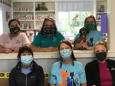 Meet the Team - Clinton Animal Hospital