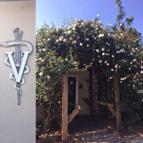 Veterinarian in Clinton, SC | Quality Pet Care