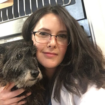 Dr. Bess Pierce, DVM – Clinton Animal Hospital