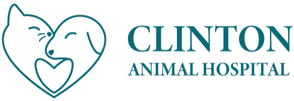 Clinton Animal Hospital