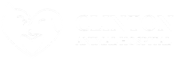 Clinton Animal Hospital